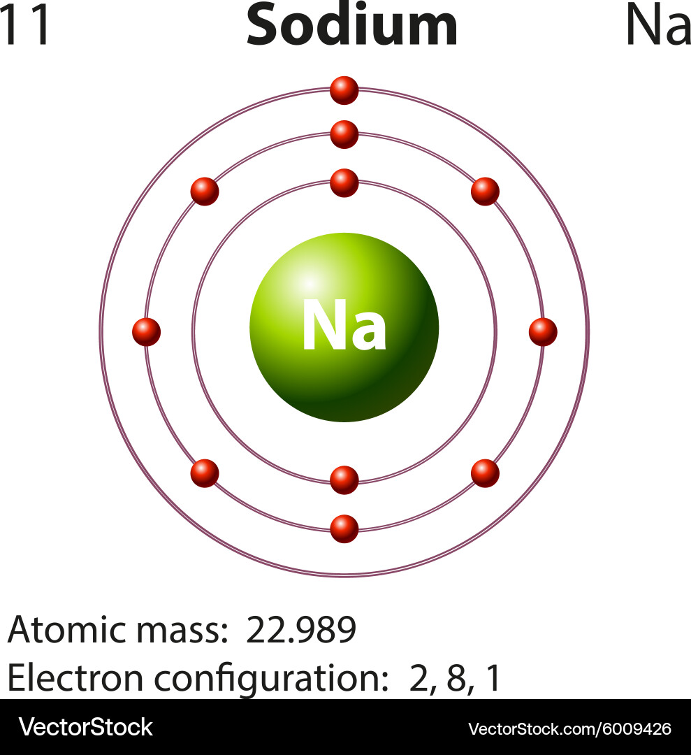 Diagram representation of the element sodium Vector Image
