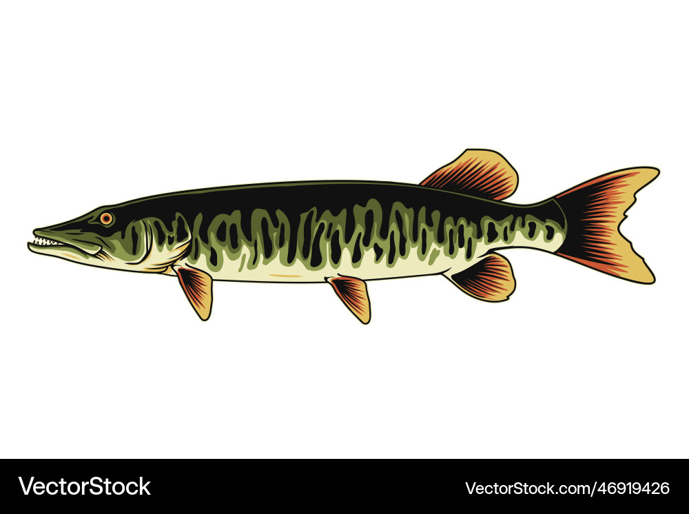 Musky Logo Vector Images (39)