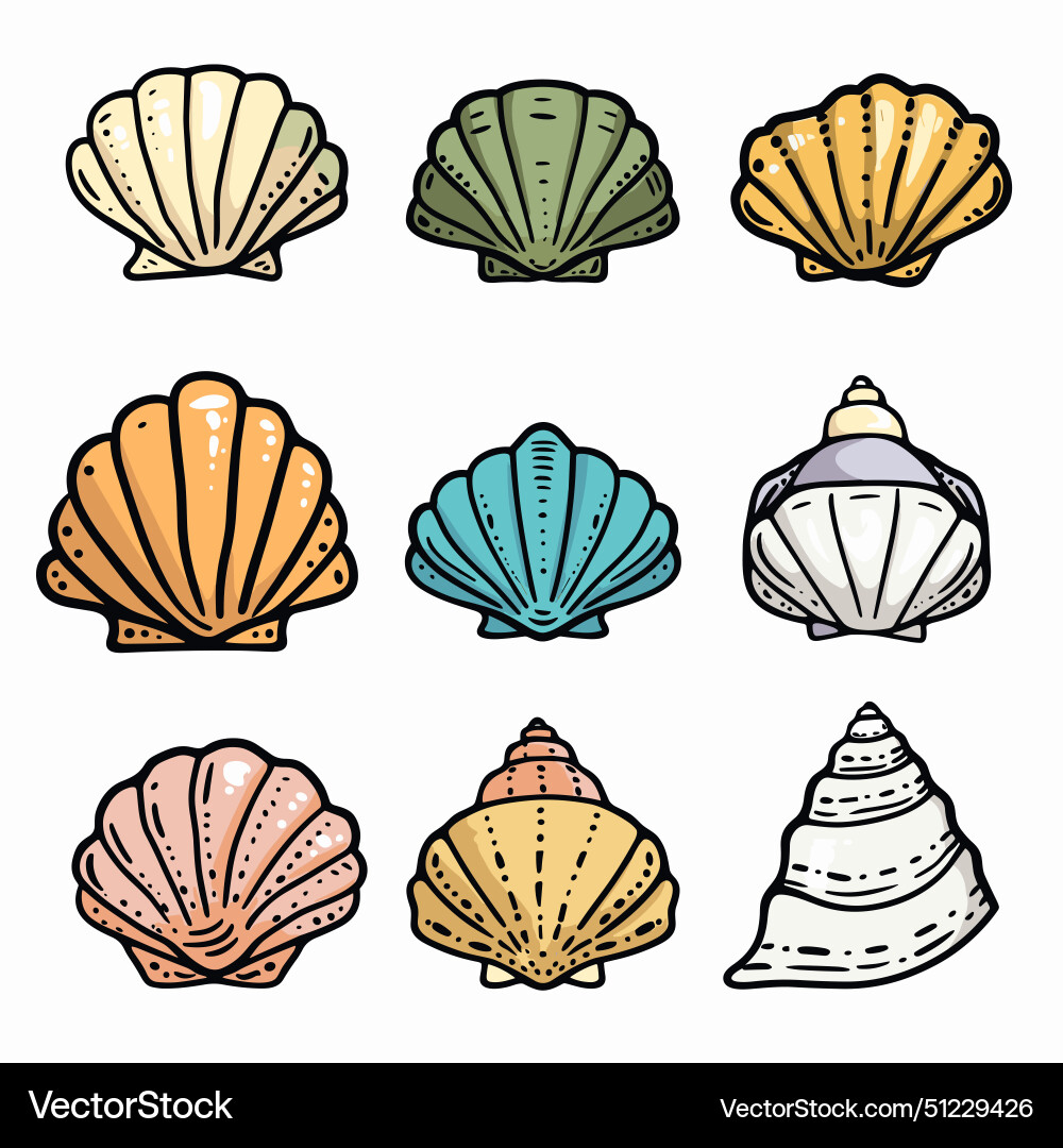 Set colorful seashell isolated white Royalty Free Vector