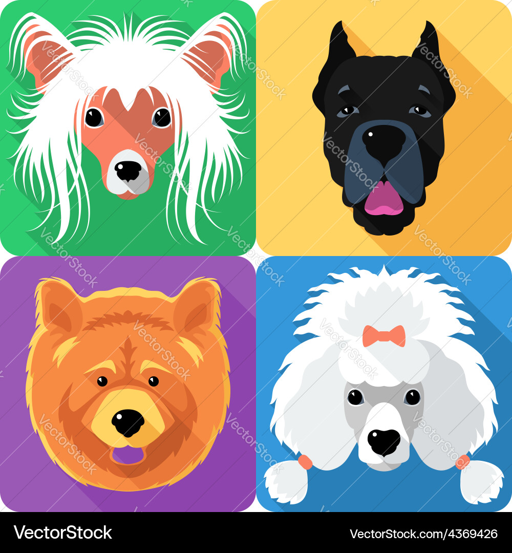 Set dog head icon flat design Royalty Free Vector Image