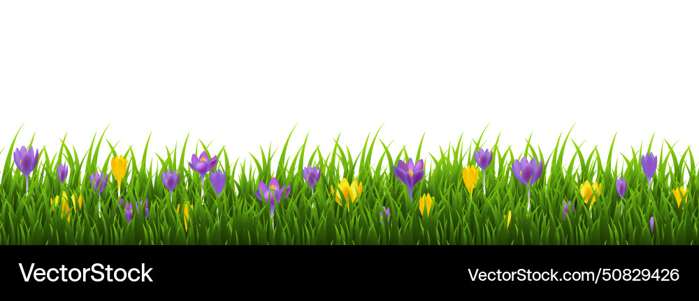 Spring border and grass flowers Royalty Free Vector Image
