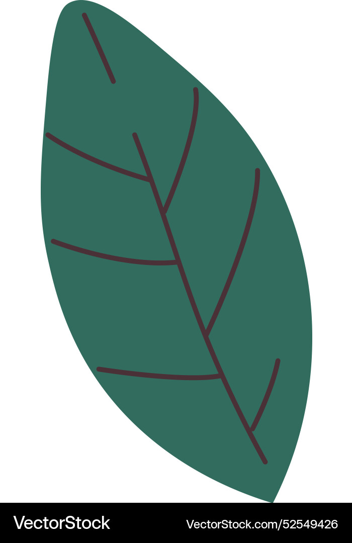 Tree leaf icon Royalty Free Vector Image - VectorStock