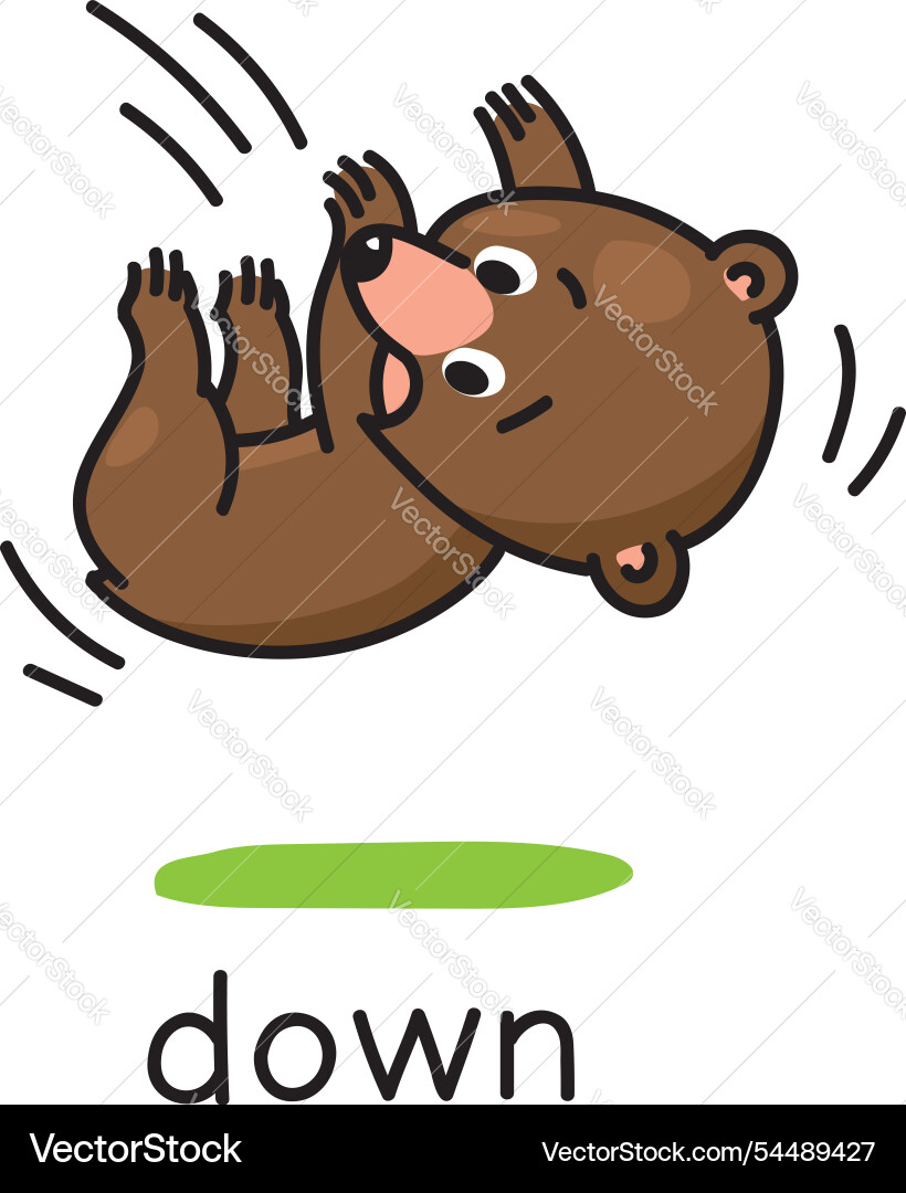 Preposition of movement bear is falling down Vector Image
