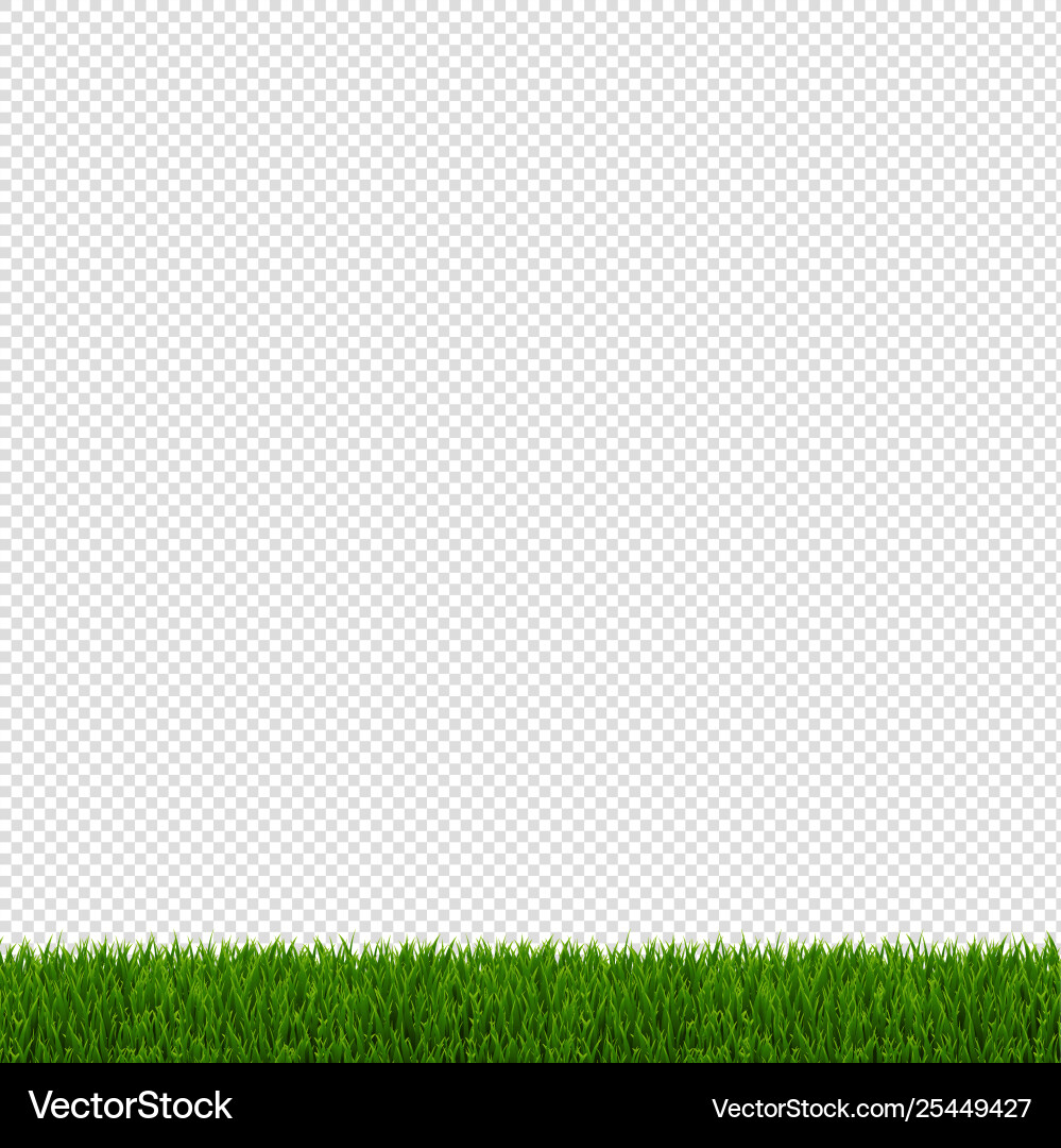 Spring green grass border Royalty Free Vector Image