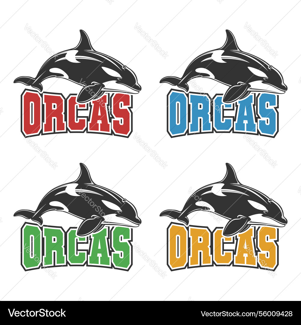 Orcas clip art design mascot Royalty Free Vector Image