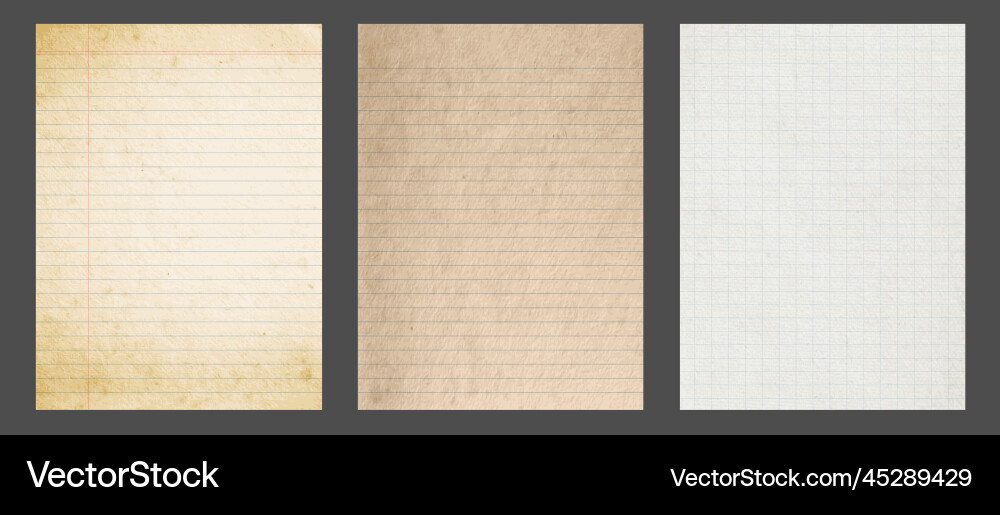 Lined paper background texture in a4 size Vector Image
