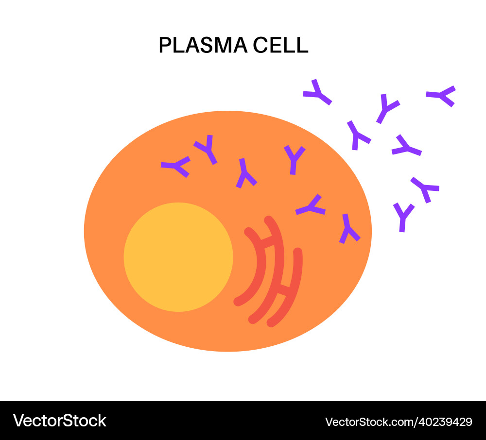 Plasma cell icon Royalty Free Vector Image - VectorStock