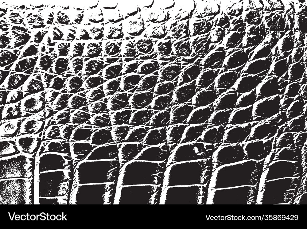 Skin overlay texture Royalty Free Vector Image