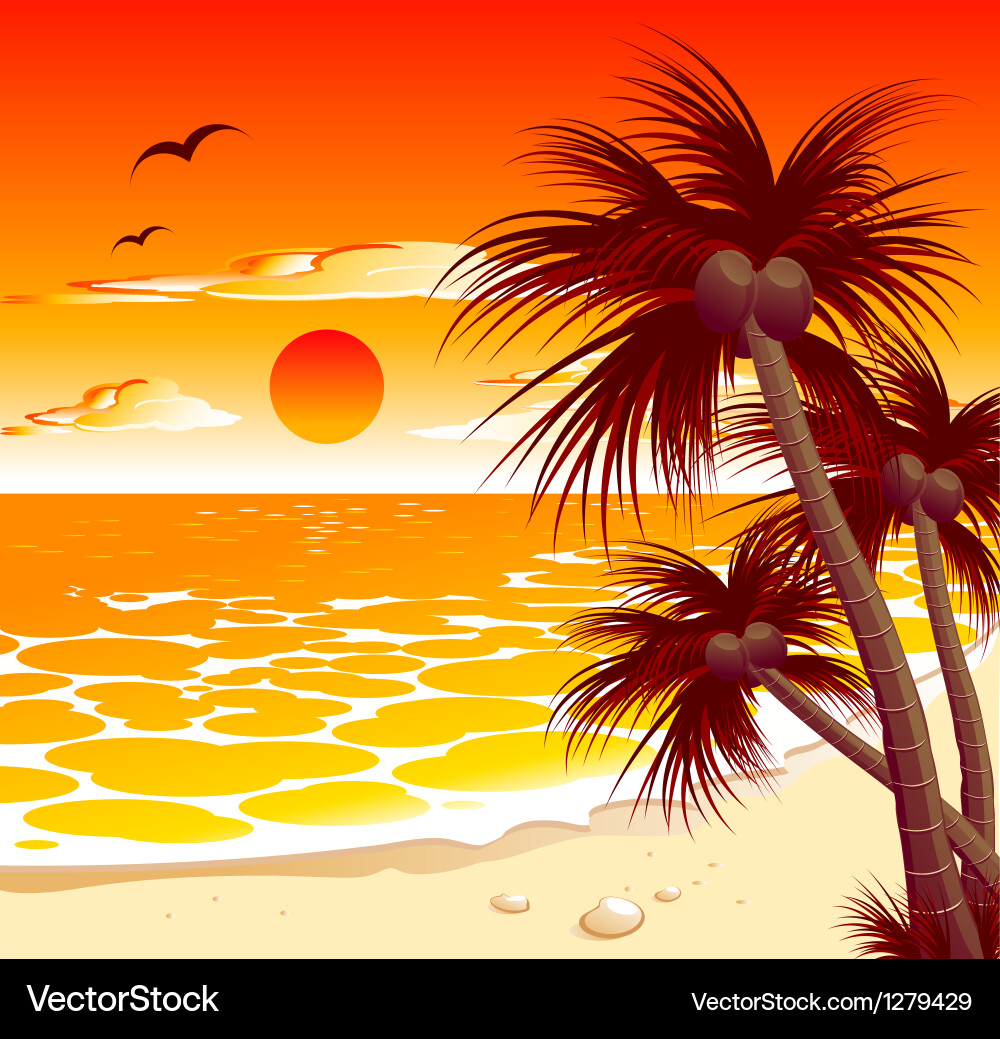 Tropical Sunset Seascape Royalty Free Vector Image