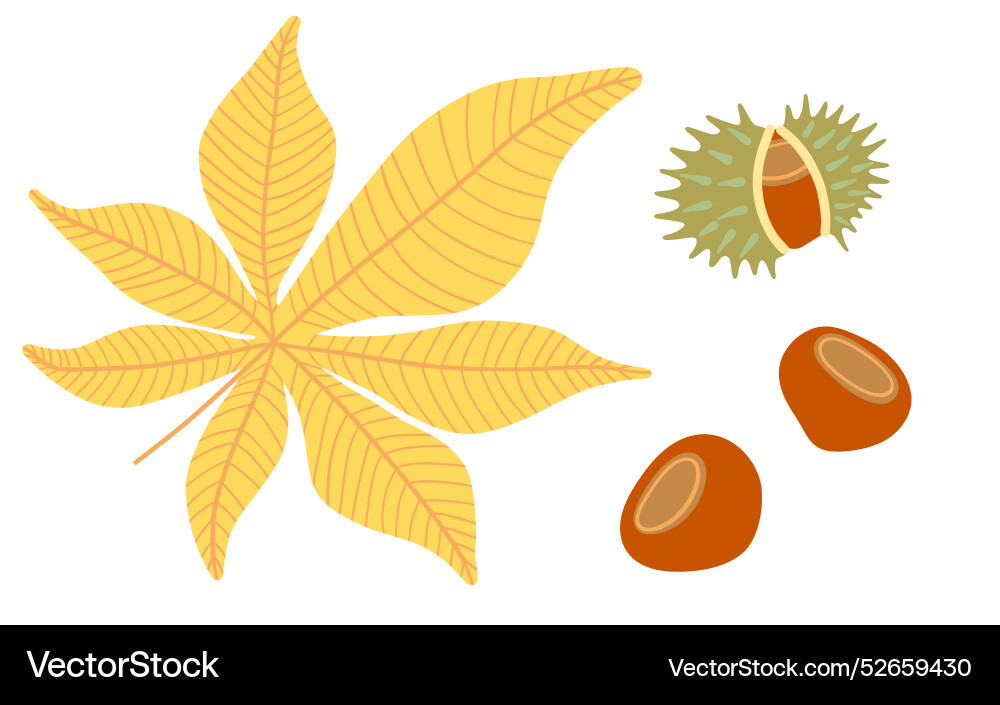 An autumn leaf and chestnuts Royalty Free Vector Image