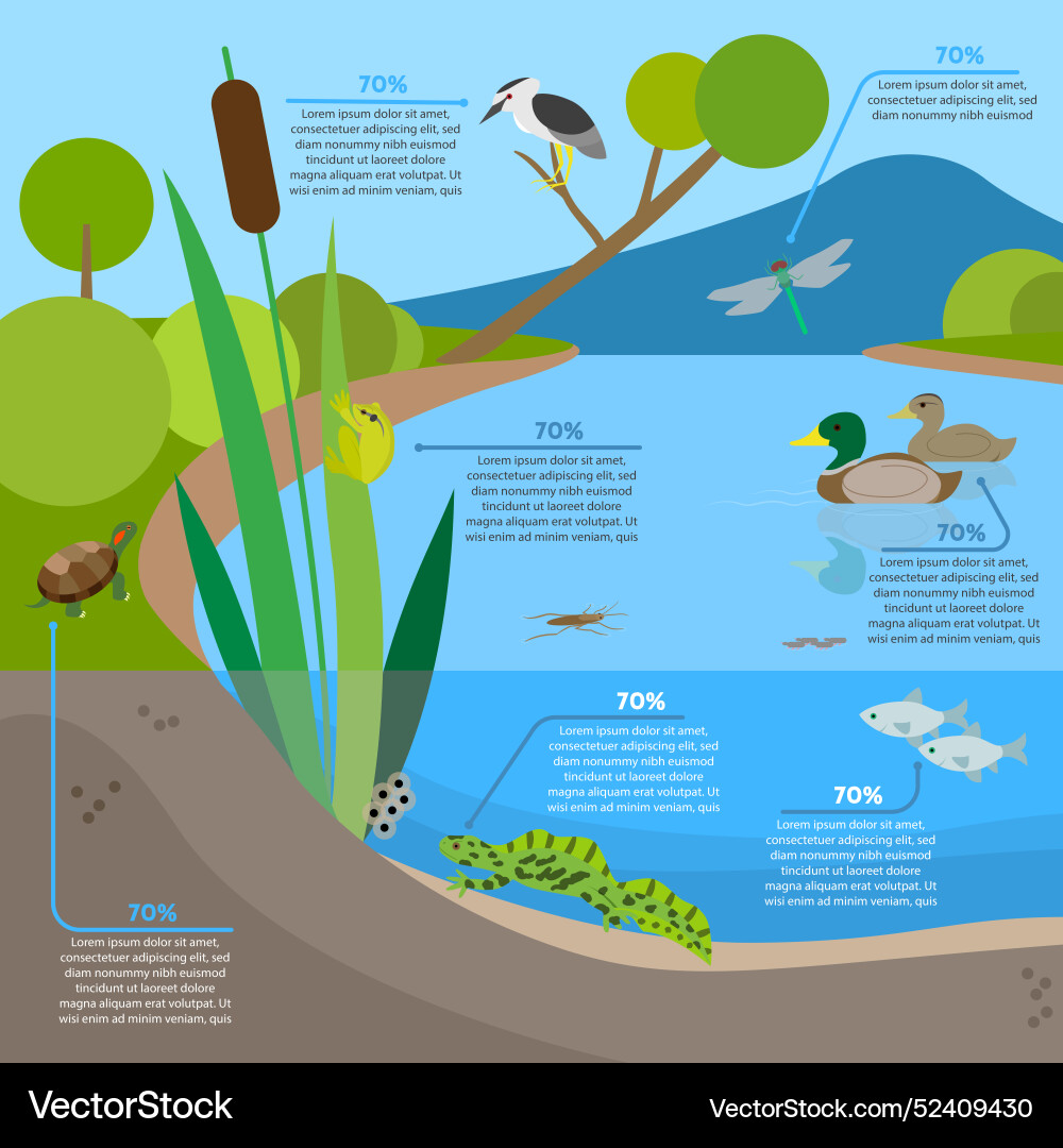 Ecosystem background infographic with animals Vector Image