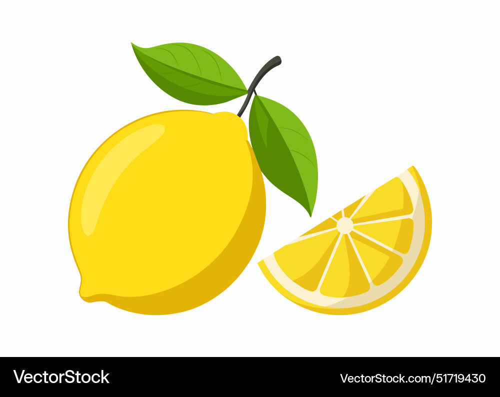 Fresh lemon Royalty Free Vector Image - VectorStock