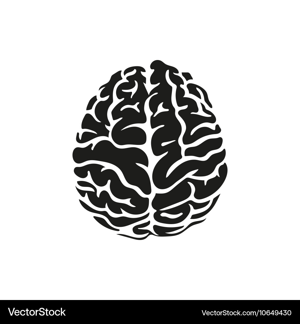 Human brain Royalty Free Vector Image - VectorStock