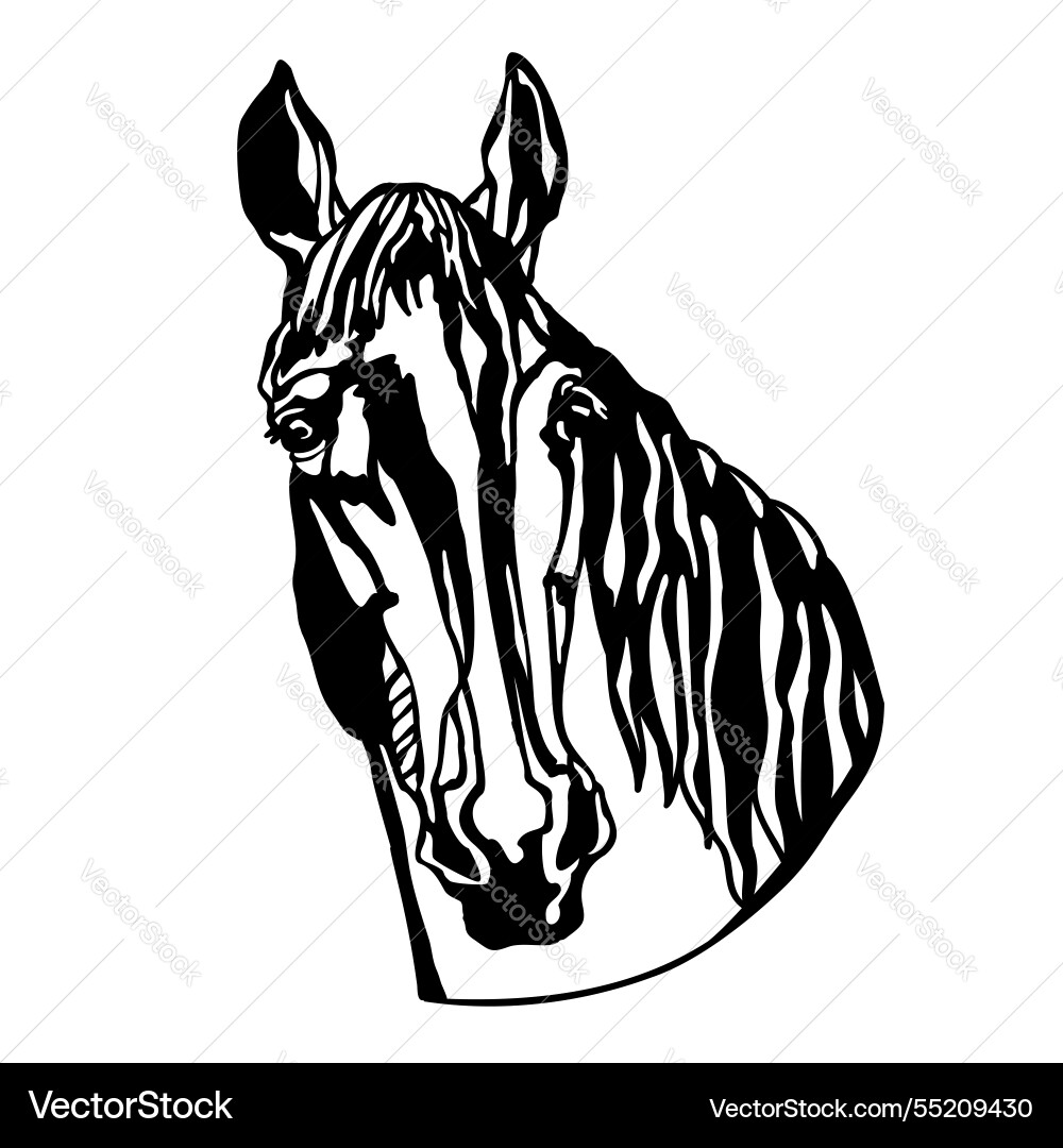 Stencil of horse template Royalty Free Vector Image