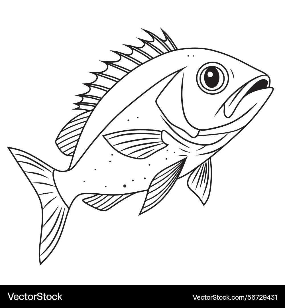 Line art black and white snapper fish Royalty Free Vector