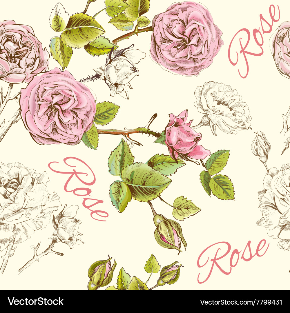 Rose flower pattern Royalty Free Vector Image - VectorStock