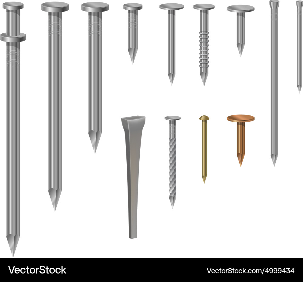 Assorted nails Royalty Free Vector Image - VectorStock