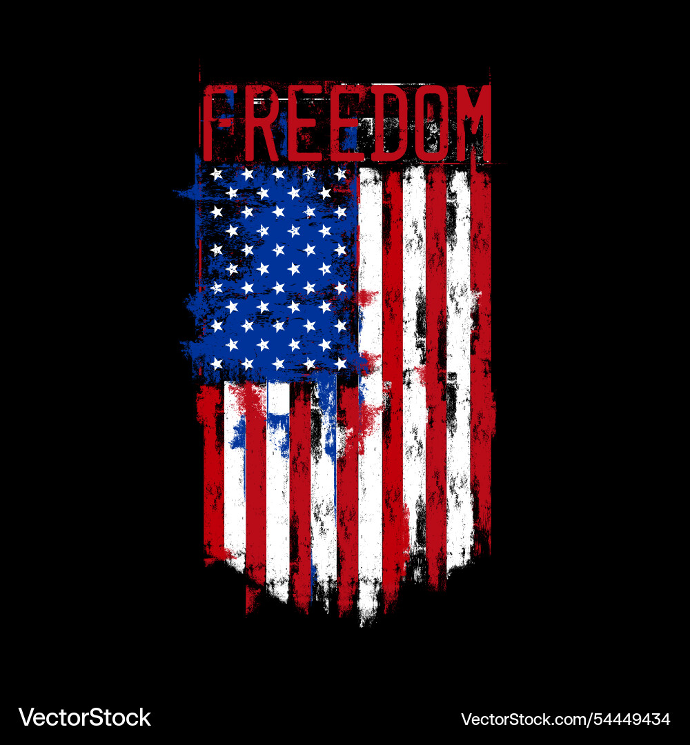 Freedom american flag Royalty Free Vector Image