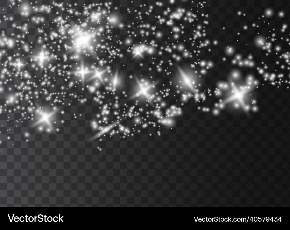 Sparkling magical dust particles the sparks Vector Image
