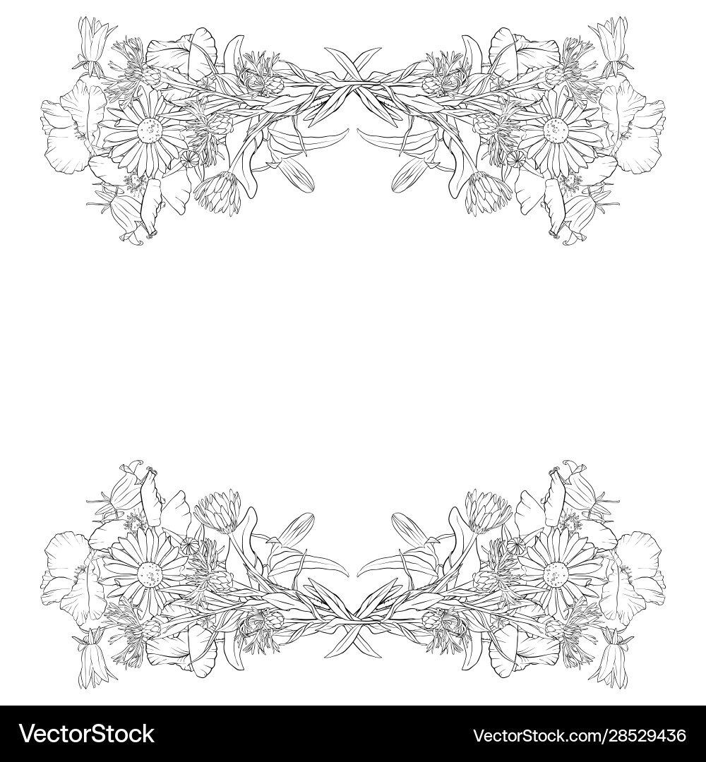 Botanical Leaves Frame Royalty Free Vector Image