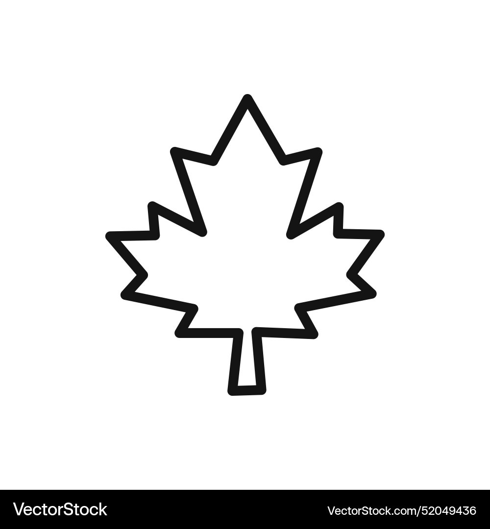 Maple leaf icon linear graphics sign Royalty Free Vector