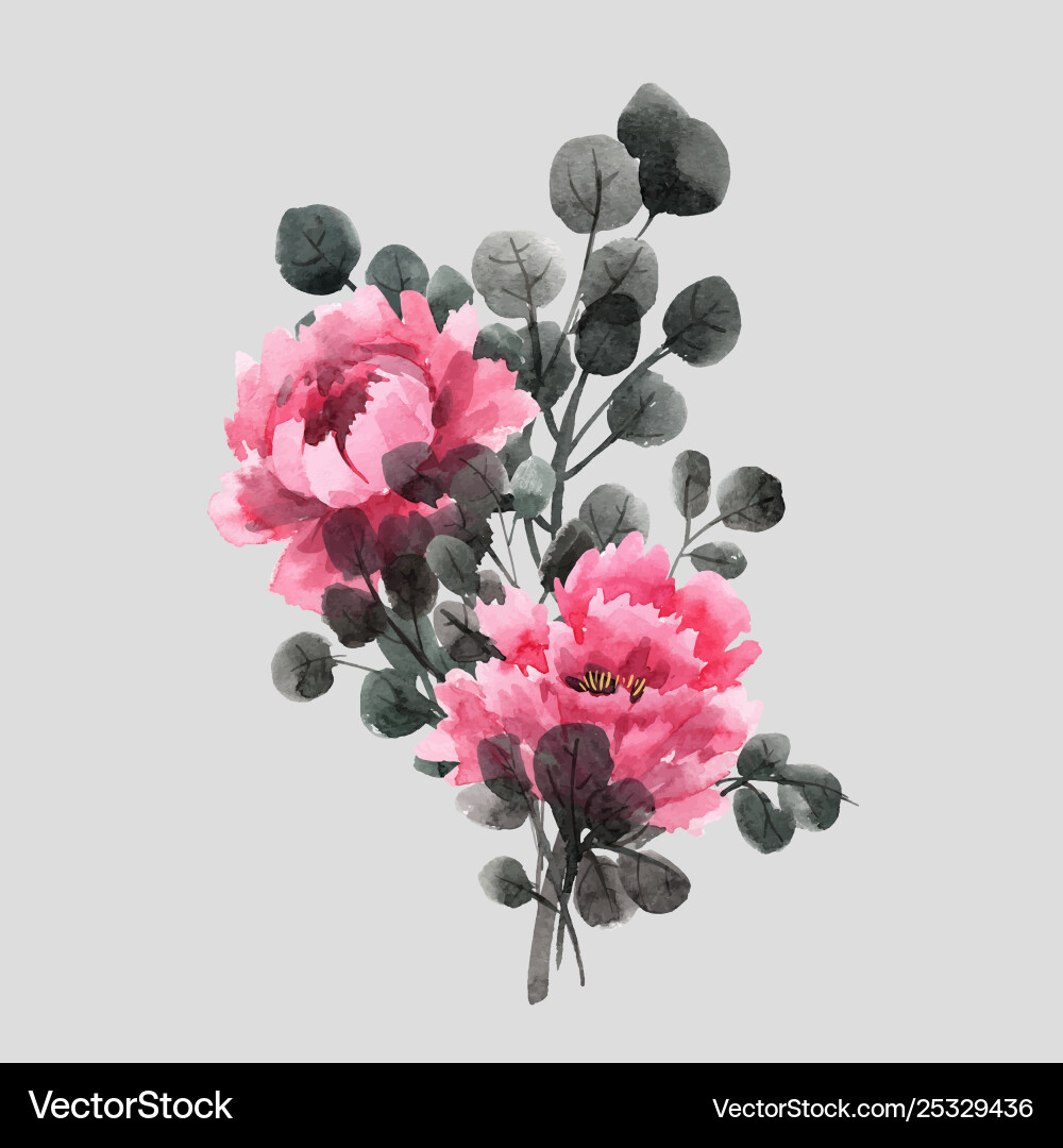 Watercolor chinese rose Royalty Free Vector Image