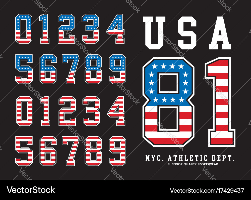 Number texture flag american Royalty Free Vector Image