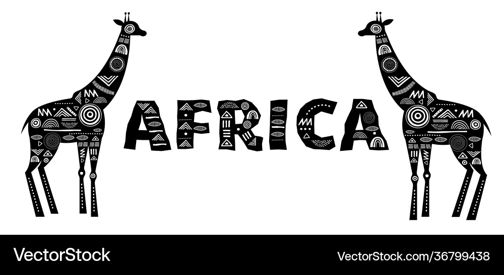 Africa banner with patterned giraffes black Vector Image