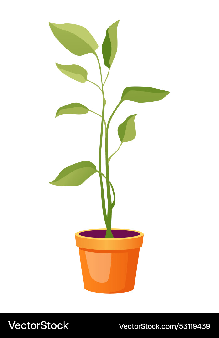 A green plant flat Royalty Free Vector Image - VectorStock