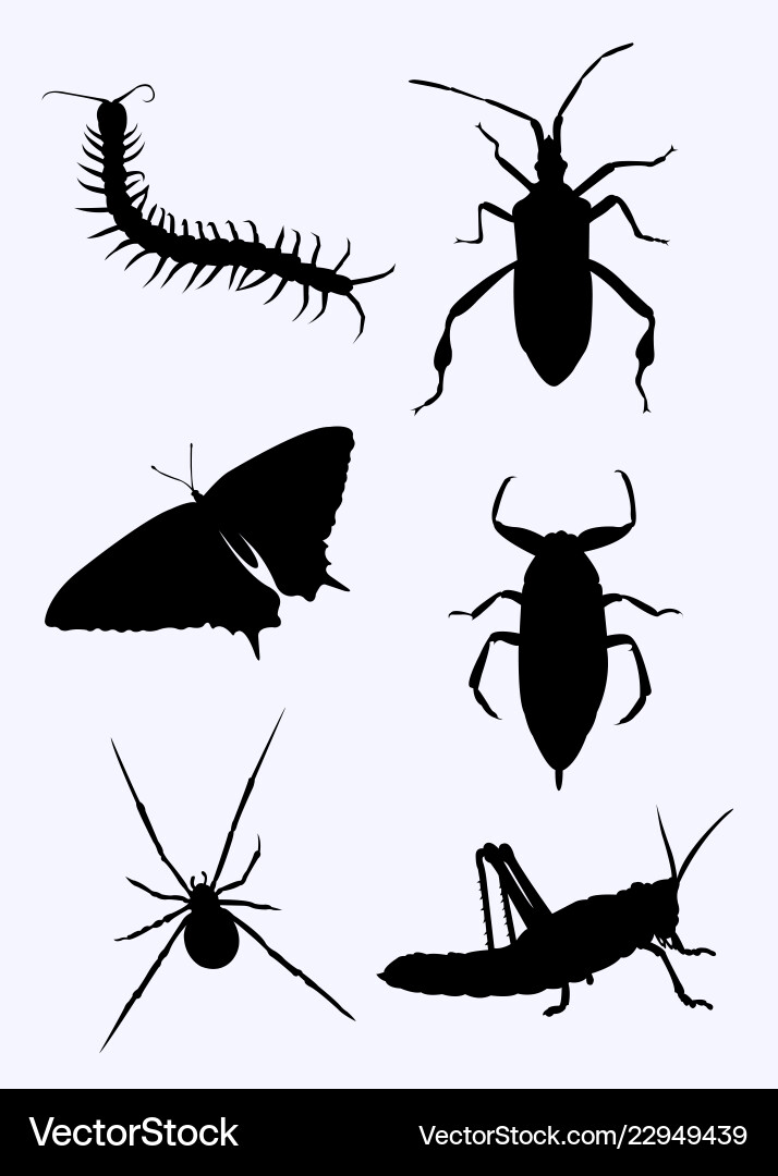 Bugs silhouette Royalty Free Vector Image - VectorStock