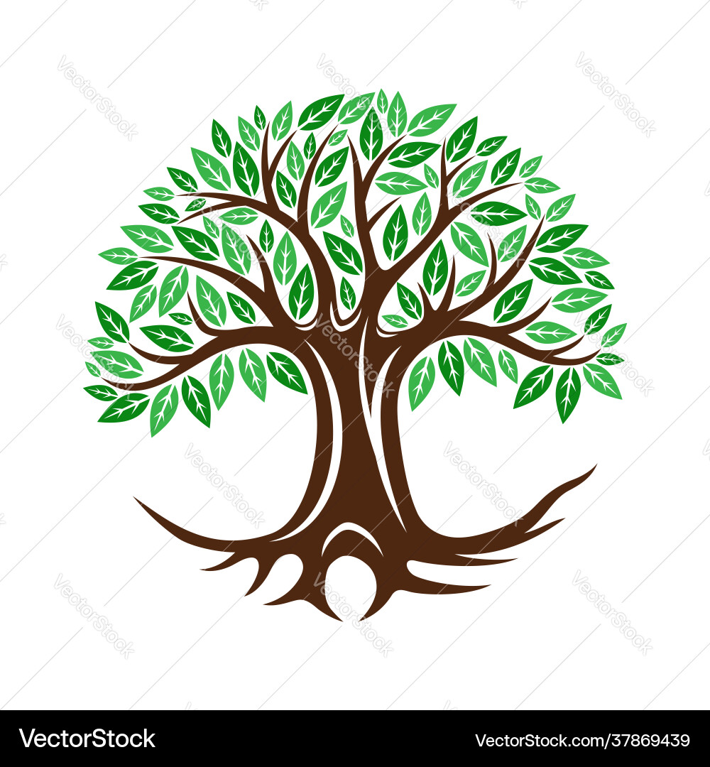 Round tree icon with leaves and roots Royalty Free Vector