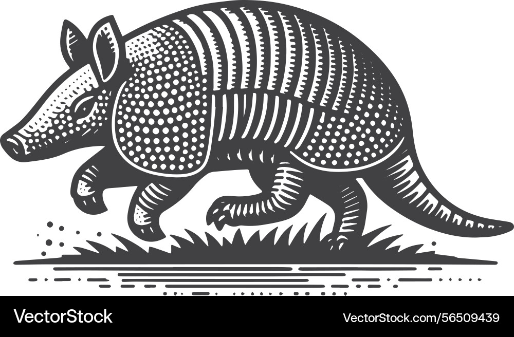 Simple armadillo running icon design vintage Vector Image