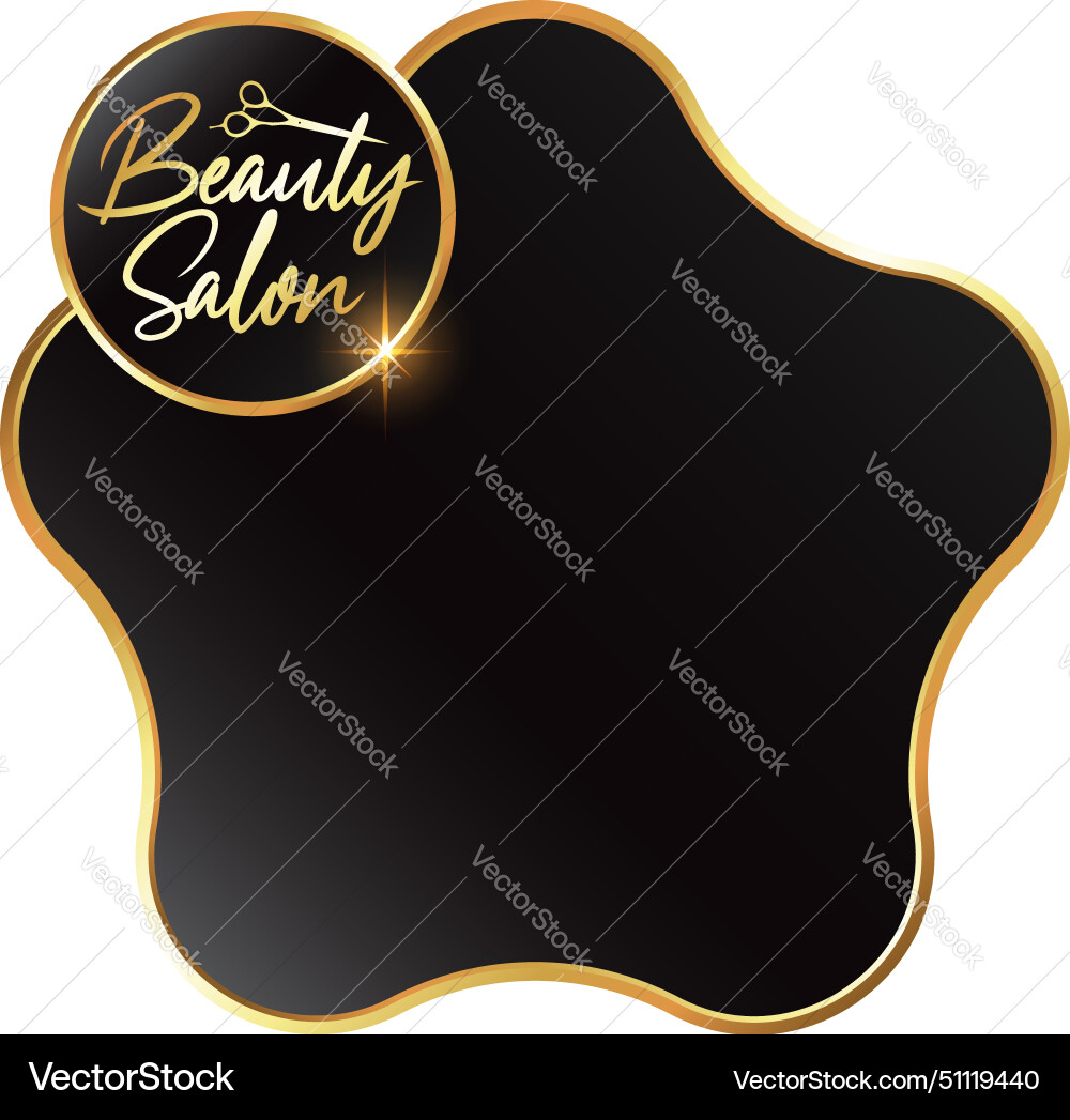 Star symbol with gold beauty salon frame Vector Image