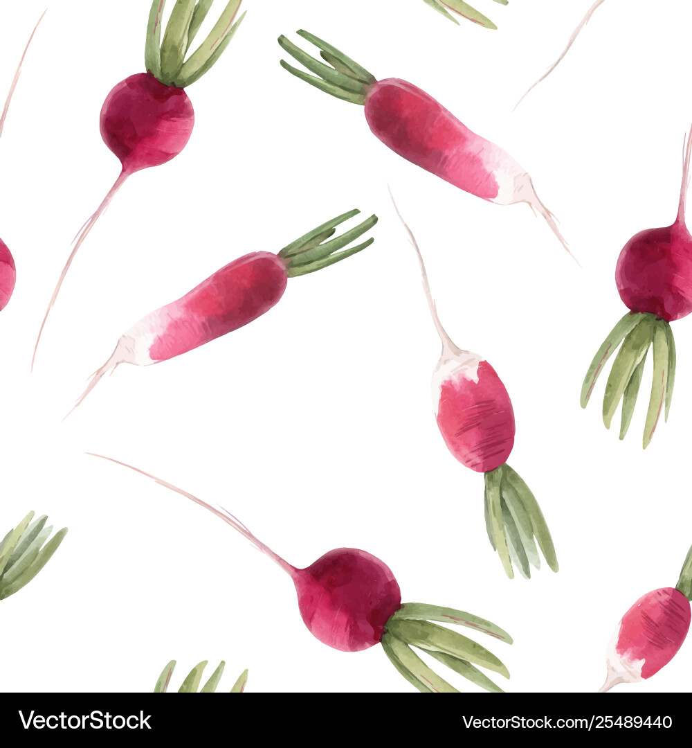 Watercolor Radish Pattern Royalty Free Vector Image