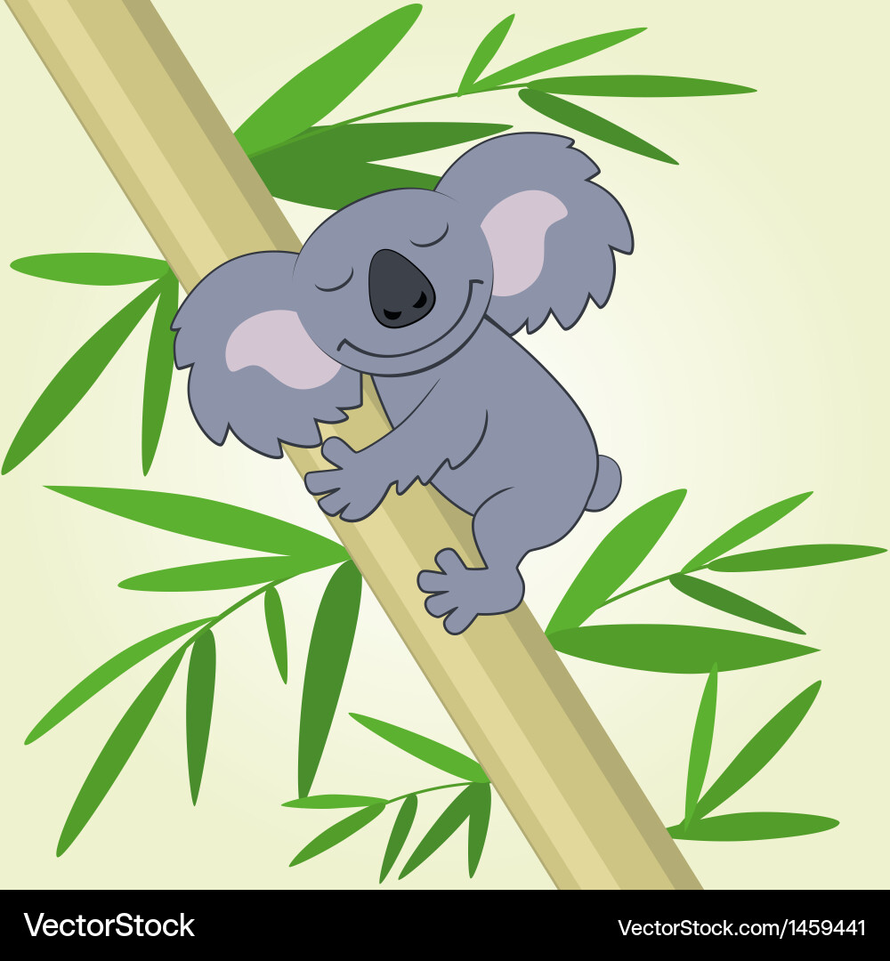 Koala Royalty Free Vector Image - VectorStock