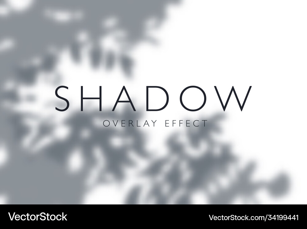 Realistic shadow background Royalty Free Vector Image