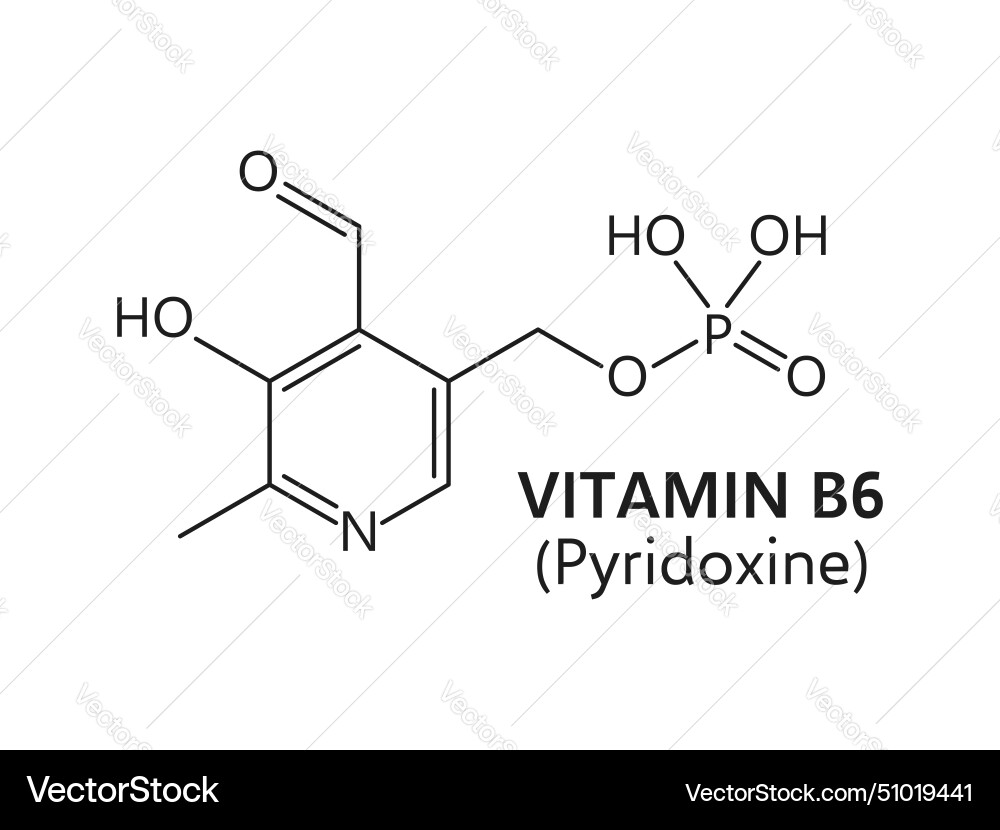 Vitamin B6 Structure Vitamin B 6 Liquid | Superior Natural Products
