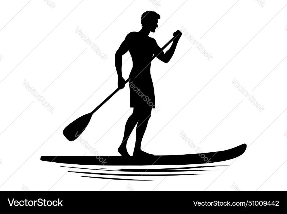 Man paddle boarder silhouette Royalty Free Vector Image