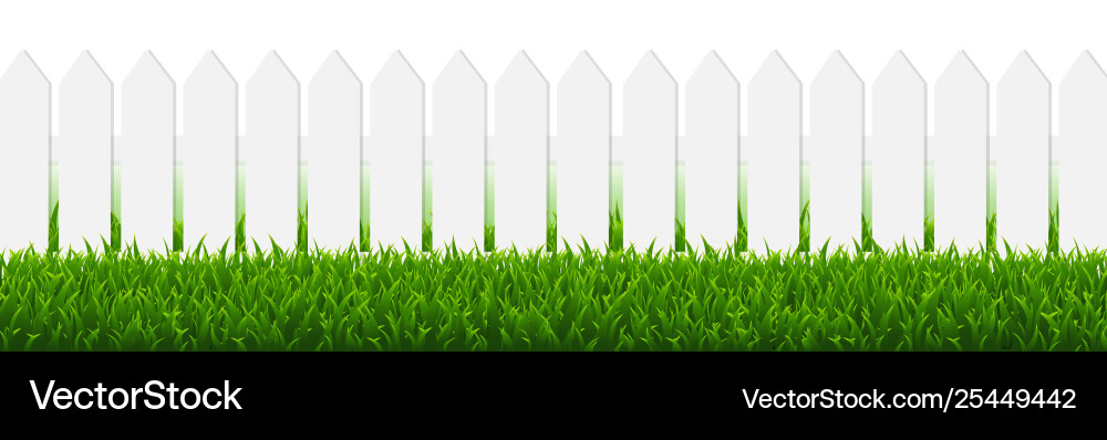 White fence with green grass and background Vector Image