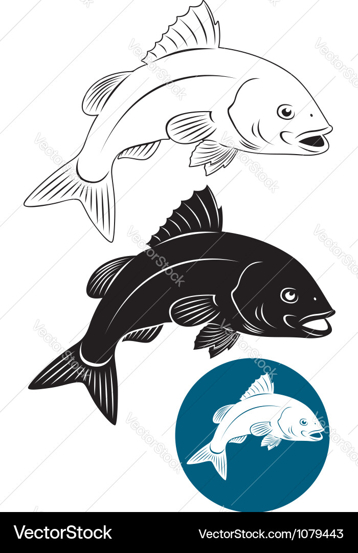 Snapper Royalty Free Vector Image - VectorStock