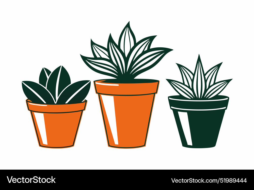 3 plant pots silhouette e Royalty Free Vector Image