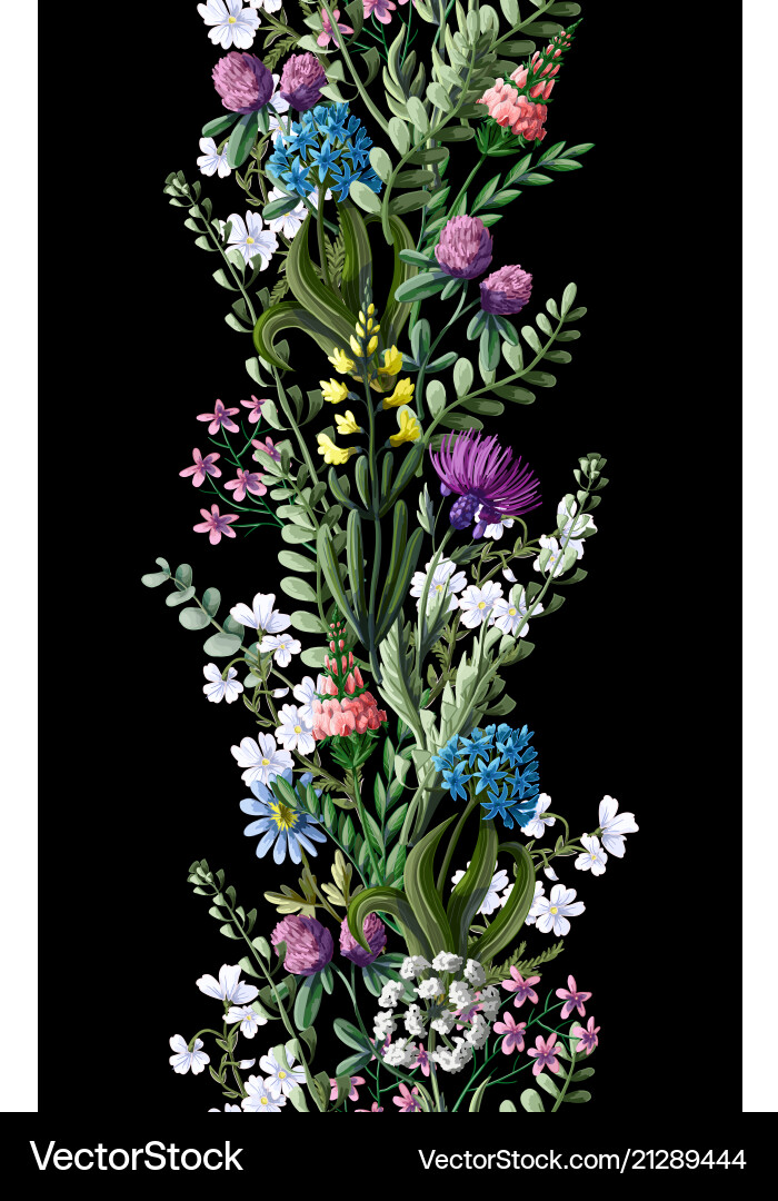 Seamless border with wild flowers Royalty Free Vector Image