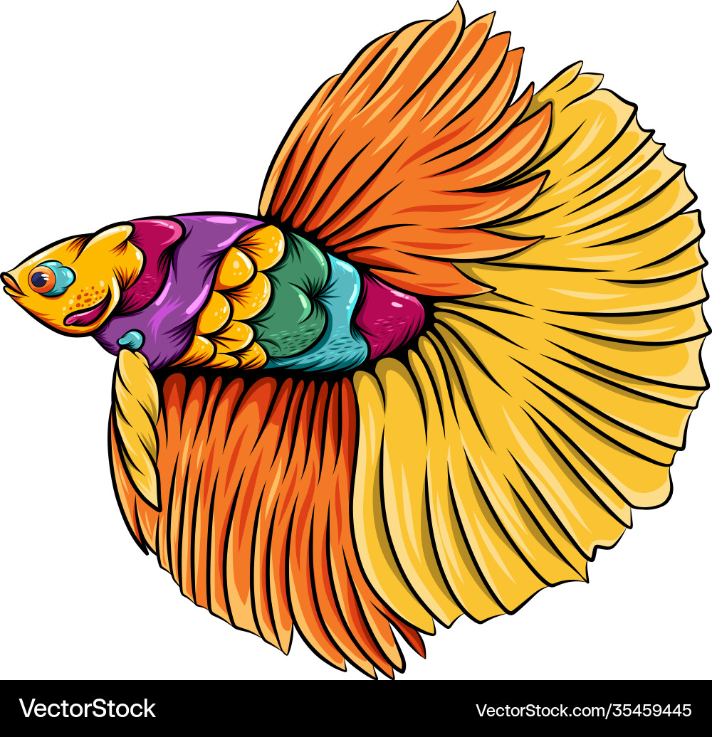 Betta fish entangle with a beautiful Royalty Free Vector