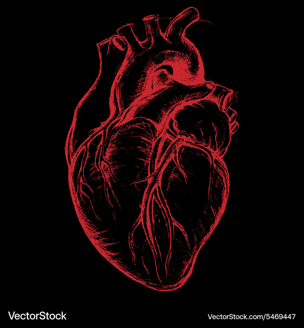 Line Drawing Heart Vector Images (over 51,000)