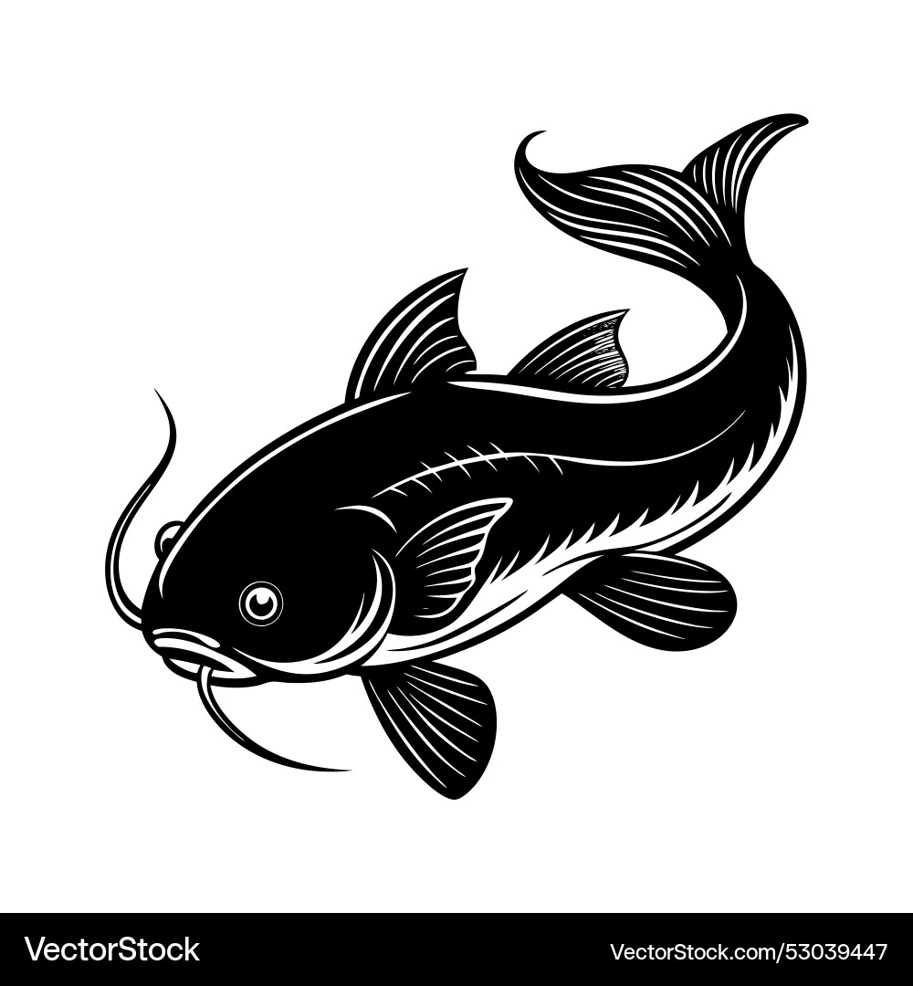 Stylish catfish silhouette Royalty Free Vector Image
