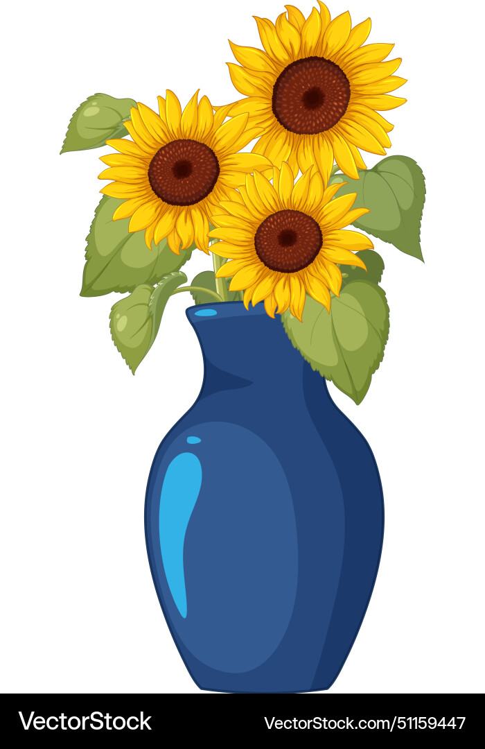 Three vibrant sunflowers arranged in a blue vase Vector Image
