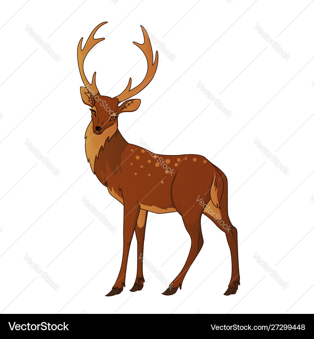 Deer isolated Royalty Free Vector Image - VectorStock