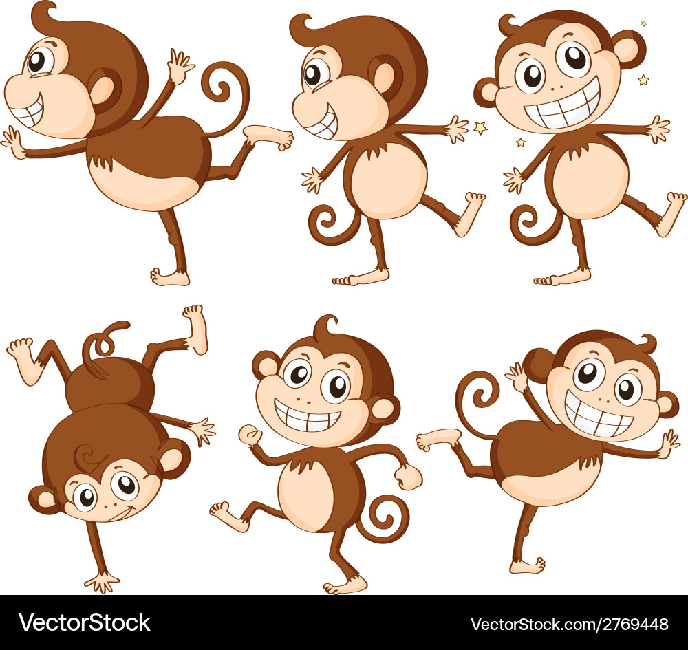 Monkey set Royalty Free Vector Image - VectorStock