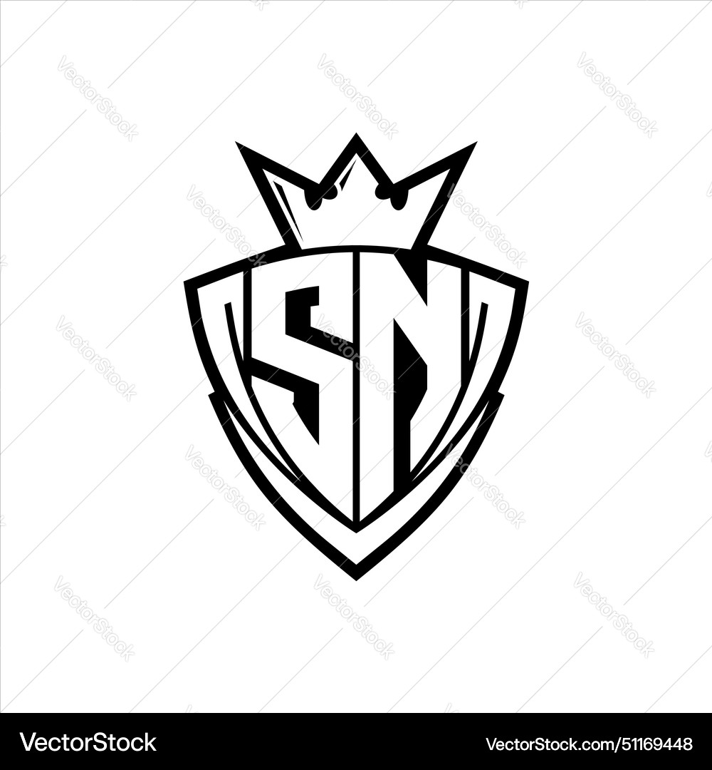 Sn letter logo with sharp triangle shield shape Vector Image