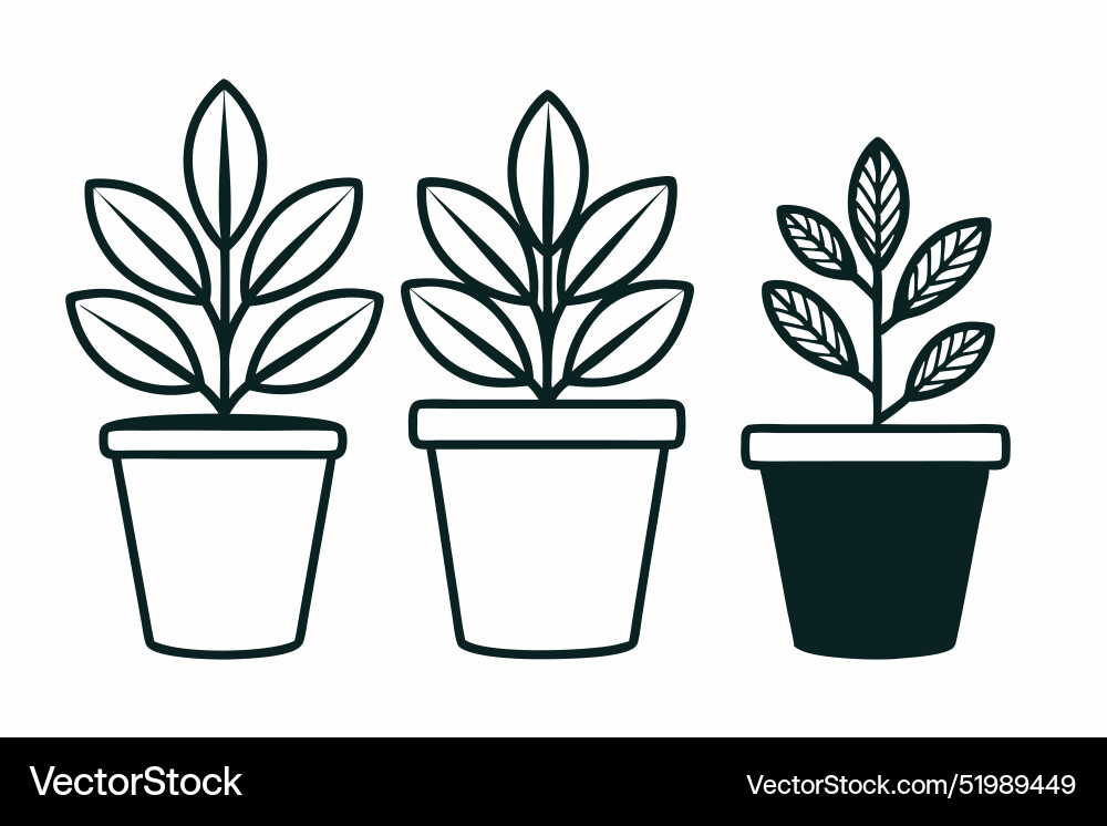 3 plant pots silhouette h Royalty Free Vector Image